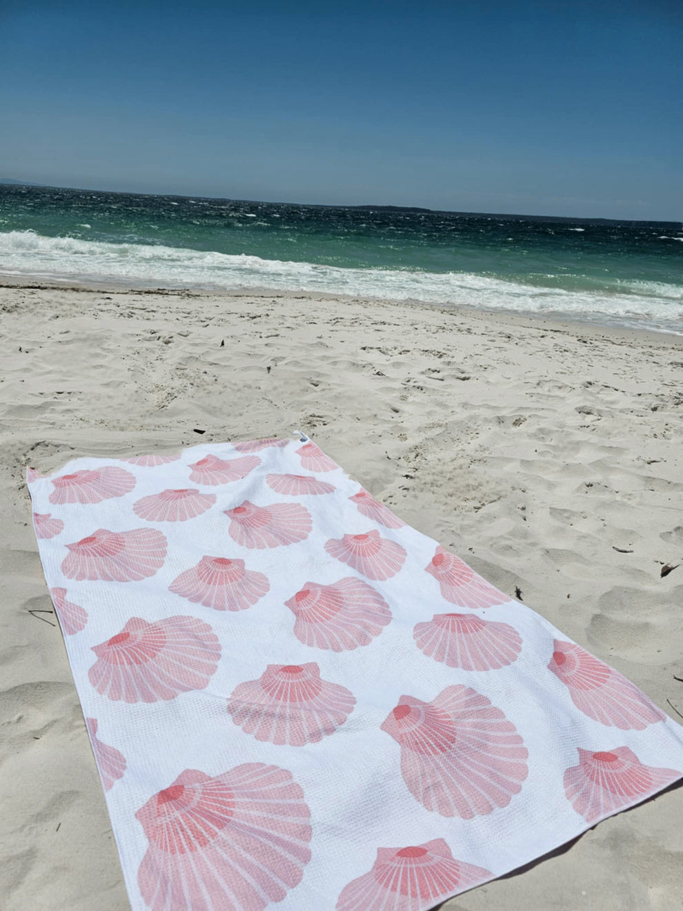 Sea Shells Towel – Coastal Palms Australia